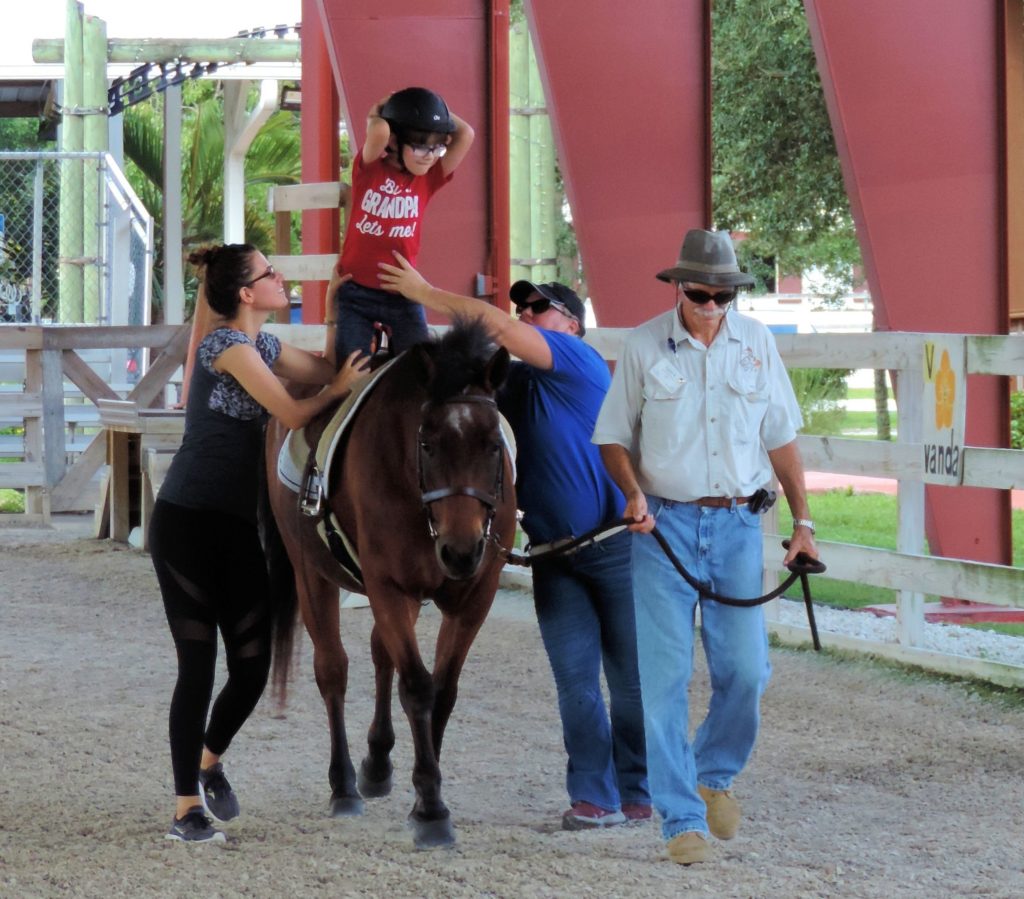 Therapy - Equine-Assisted Therapies of South Florida