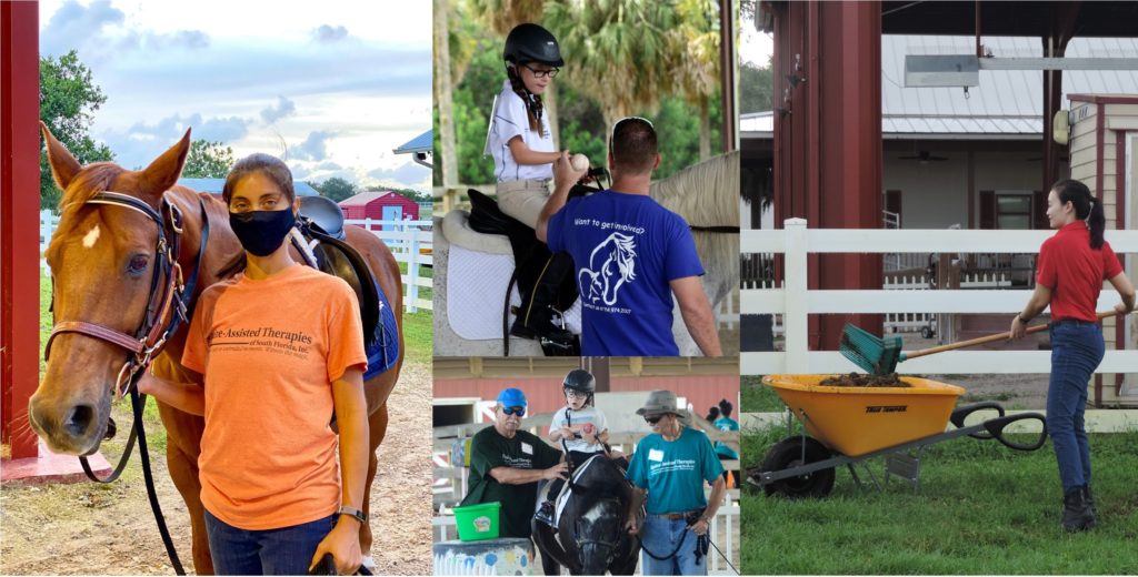 Volunteer - Equine-Assisted Therapies of South Florida