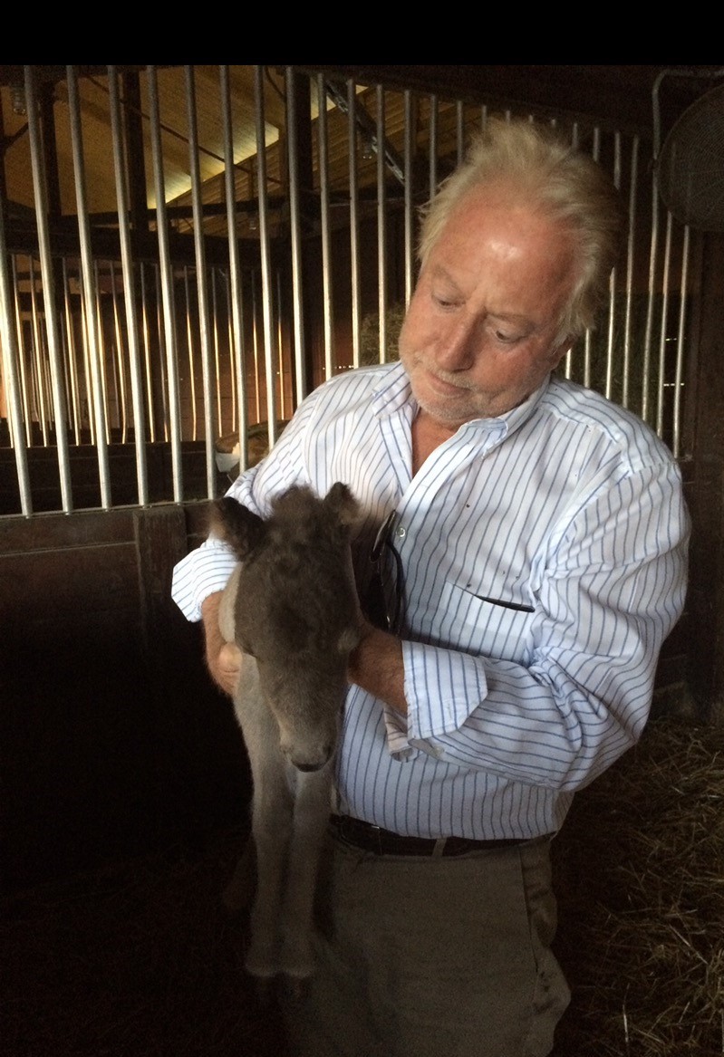 Endowments - Equine-Assisted Therapies of South Florida