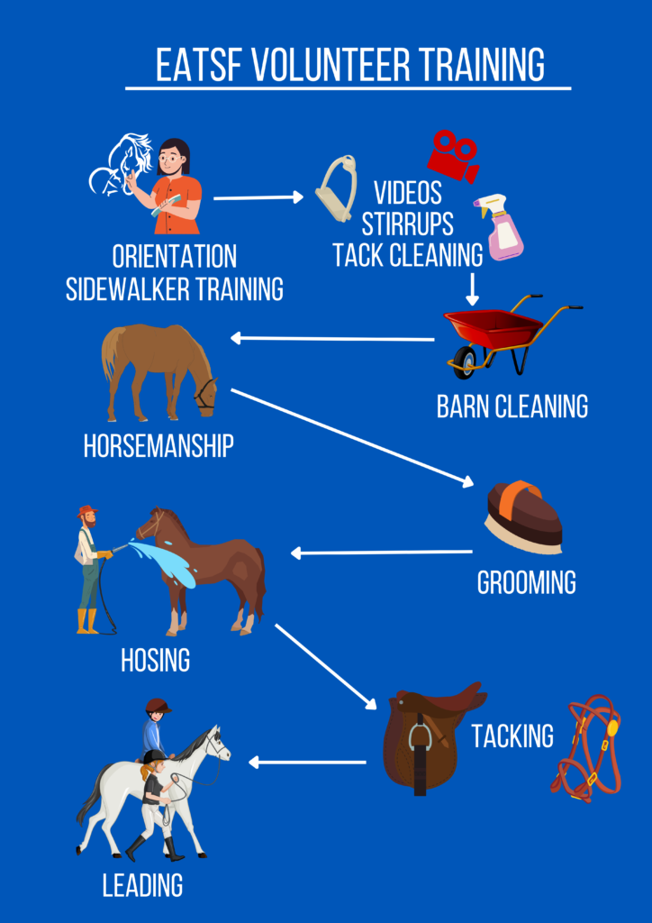 Volunteer - Equine-Assisted Therapies of South Florida